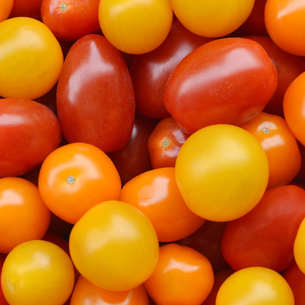 grape-tomatoes - DiMino Tops Lewiston