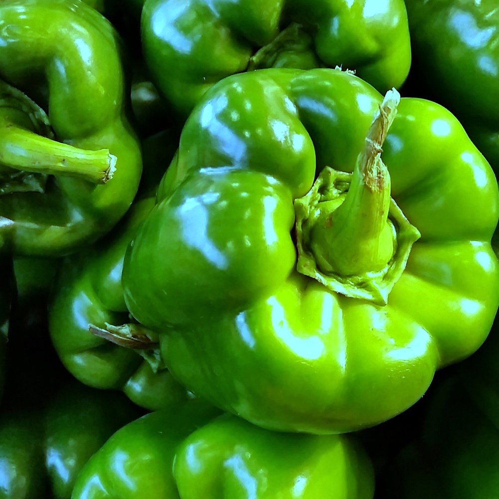 green-pepper - DiMino Tops Lewiston